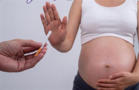 Learn About Smokings Stealthy Assault On Fertility And The Path To Recovery