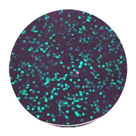 Slug Bugs Juicy Junebug Cast Cray Outdoors