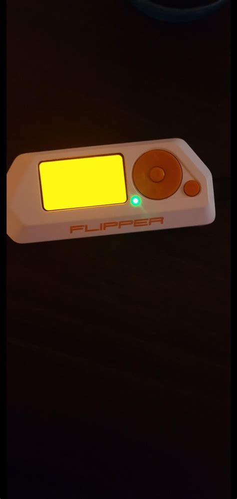 Flipper Not Showing Any Images More In Comments Rflipperzero