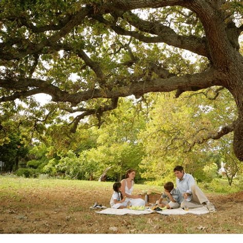 4 Natural Ways To Prevent Insect Bites Just Be Natural