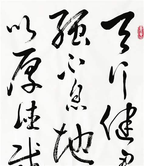 书法作品 天行健君子以自强不息 13583756654 兴艺堂