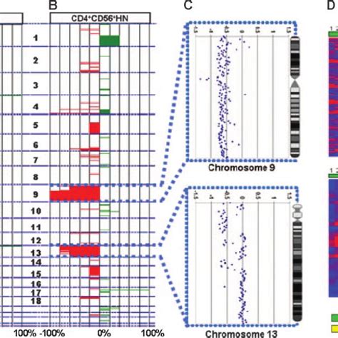Overview Of Chromosomal Imbalances Imbalances Are Shown In A 5 Cd4 ϩ Download Scientific