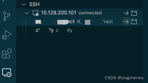 macos vscode 配置远程服务器ssh remote链接，并上传文件文件服务器 vscode上传文件到服务器 csdn博客