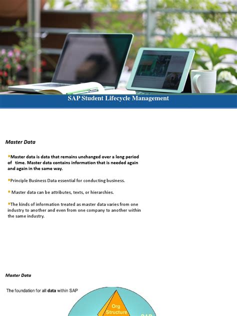 Sap Slcm Master Data Presentation Pdf