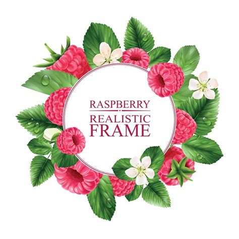 Raspberry Realistic Round Frame 19775206 Vector Art At Vecteezy