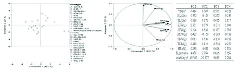 C Principal Component Analysis For Various Growth Dynamic And