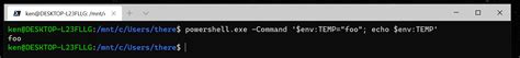 Set Windows Environment Variables Directly In Wsl Shell Without
