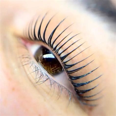 Korean Lash Lift Basic Bundle Aura Monaco Korean Lash Lift