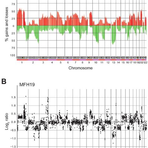 Dna Copy Number Alterations A Genome Wide Frequency Plot Of Copy Download Scientific Diagram