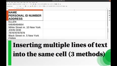 Inserting Multiple Lines Of Text Into The Same Cell 3 Methods Youtube