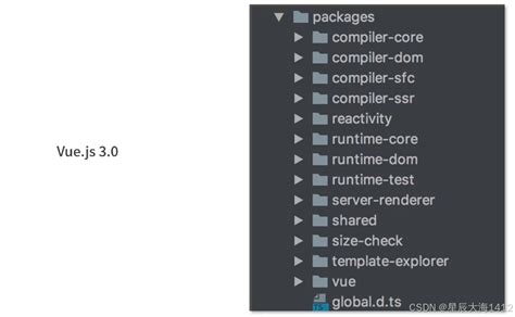 Vue3 核心源码解析vue3源码 Csdn博客