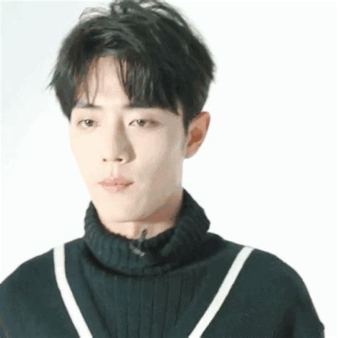 Pin By Yz4teng03 On Sean Xiao Zhan Babe Bands Singer Gif