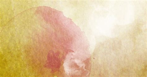 Day 14｜pico🌍🚀