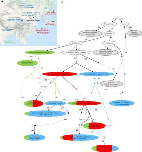 Admixture Graph Model This Figure Is The Same As Fig 2 Except We Show