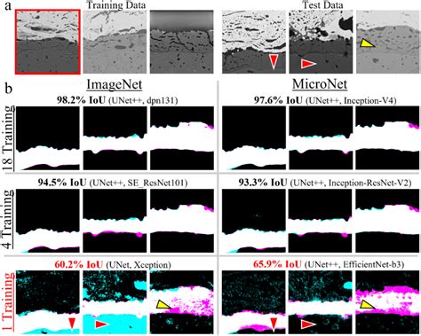 Results Of EBC Segmentation A Shows Examples From The Train And Test Download Scientific