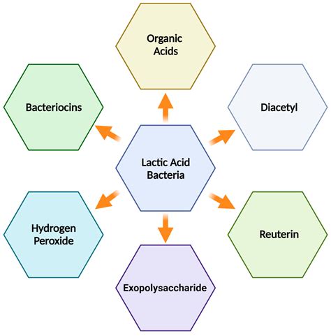 Lactic Acid Bacteria in Dairy Foods: Prime Sources of Antimicrobial Compounds