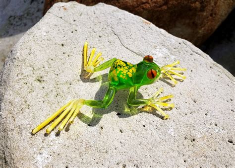 Glass Tree Frog Agalychnis Callidryas Lampwork Art Glass Blown