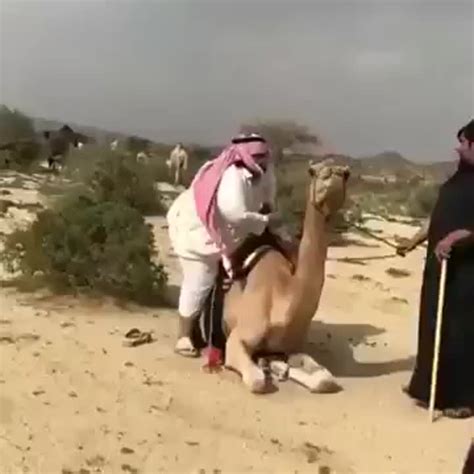 Shoaib Amin Posted On Linkedin