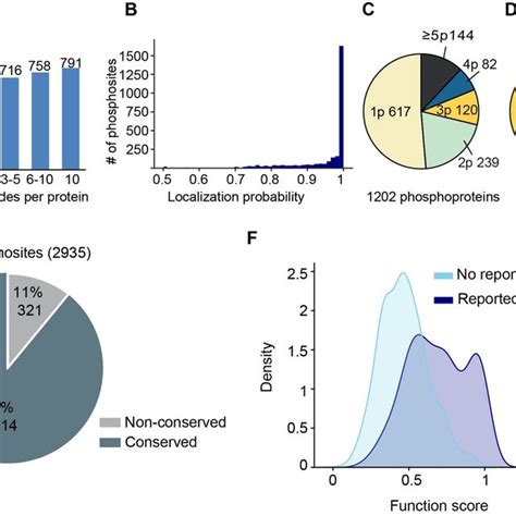 Characterization And Functional Importance Of The Phosphoproteome