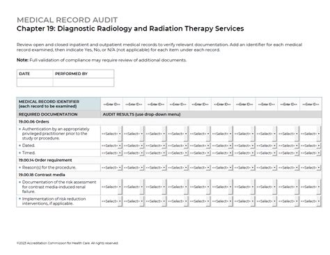 Coding Audit Worksheet