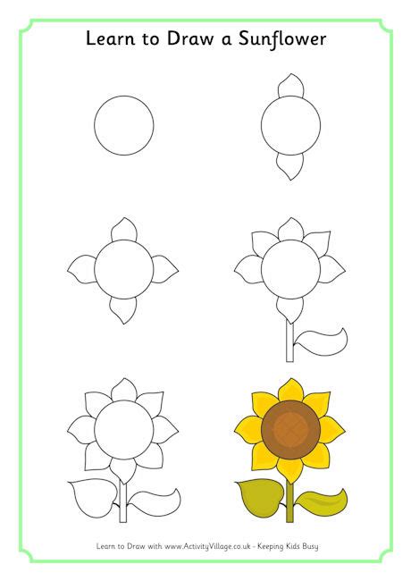 Learn To Draw A Sunflower