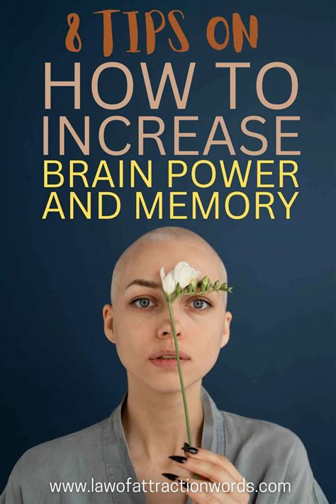Tips On How To Increase Brain Power And Memory