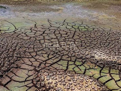 重金属土壤修复 工程服务 西林环保材料