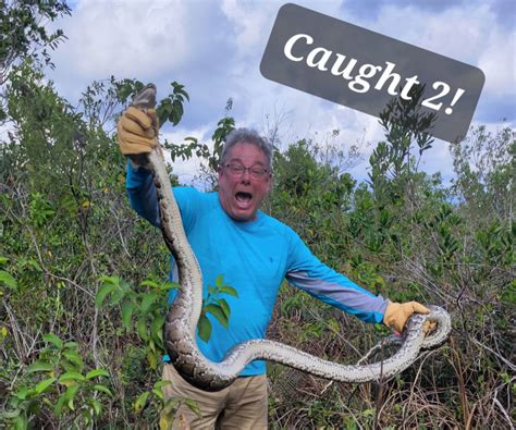 Guided Python Hunts Python Hunter Python Huntress Amy Siewe