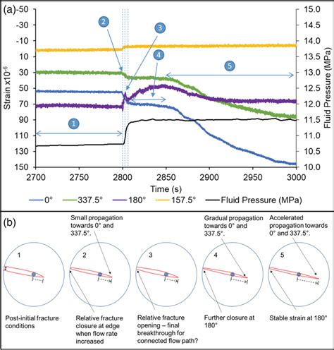 Close Up View Of The Nonmonotonic Relationship Between Injection Fluid