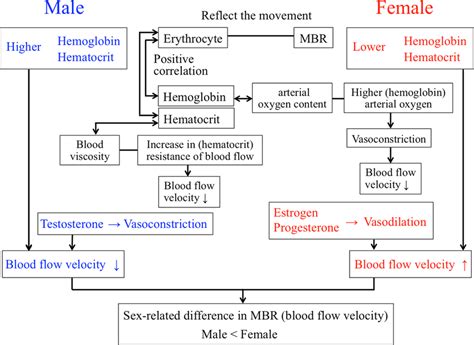 A Schematic Diagram To Present The Hypothesis Download Scientific Diagram