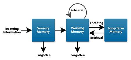 Memory Flow Chart St Vrain Valley Babes