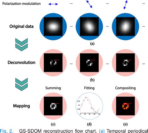 Figure 2 From Group Sparsity Based Super Resolution Dipole Orientation Mapping Semantic Scholar