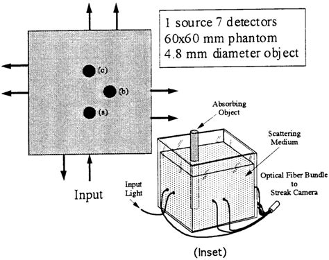 A Scheme Of Experimental Arrangement Of Source Detector Pairs An