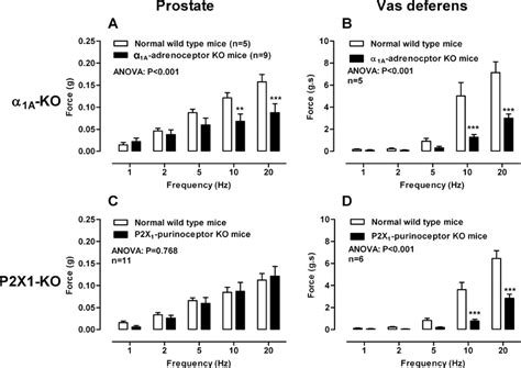 Comparison Of Mean Contractile Responses To Electrical Field