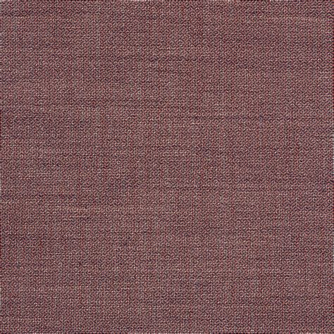 Ginger • Alfa Kontor