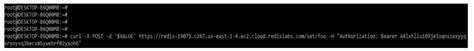 Redis API Examples On How To Create Redis API To Access Database