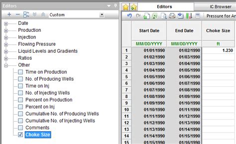 Importing Custom Datasets