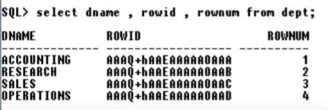 Which Are Pseudo Columns Complete Guide Sql Queries