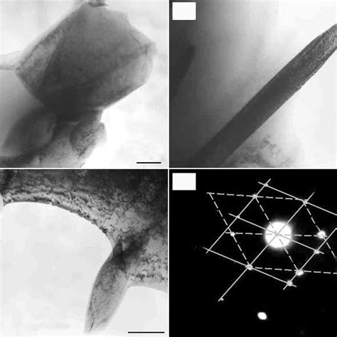 Pdf Phase And Microstructure Analysis Of Cu Cr Zr Alloys