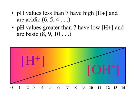 Ph Scale The Ph Scale Is Used To Measure The H And Oh In Solution