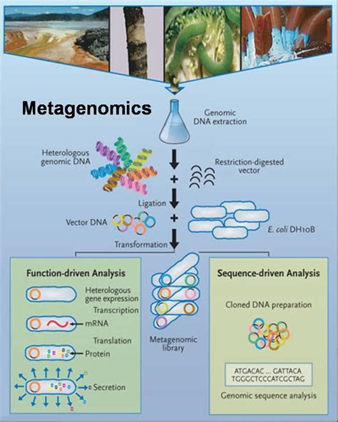 Metagenomics