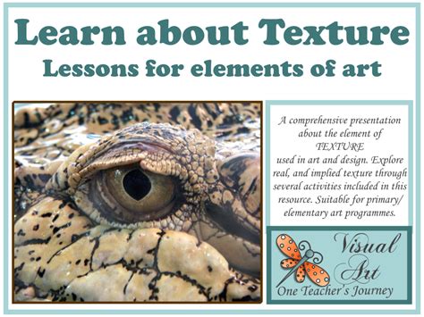 Art Lesson ELEMENTS Learn About Texture Varied Media