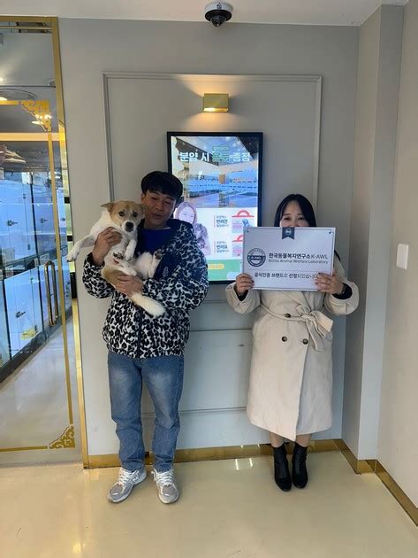 믹스견 춘삼 말티즈전문보호소 말티푸전문보호소 푸들전문보호소 먼치킨전문보호소 랙돌전문보호소 브리티쉬숏헤어전문보호소 스코티쉬폴드전문보호소 러시안블루전문보호소 강아지전문보호소