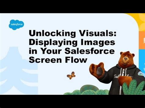 Unlocking Visuals Displaying Images In Your Salesforce Screen Flow YouTube