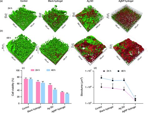 Three Dimensional 3 D Fluorescence Reconstruction Of Polymicrobial Download Scientific