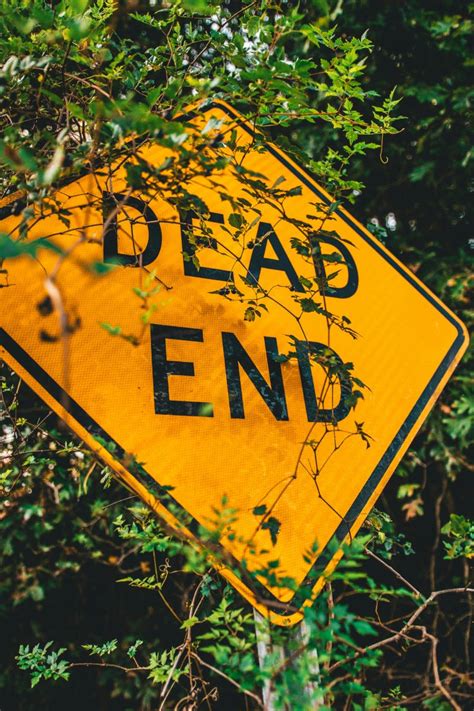 Why Knowing Just One Programming Language Is A Dangerous Game By