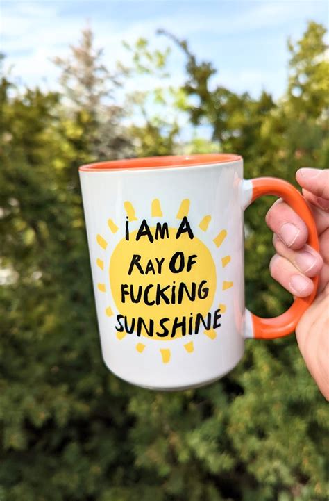 Funny Coffee Mug Travel Mug Ray Of Fucking Sunshine Gift For Him Christmas Gift Her