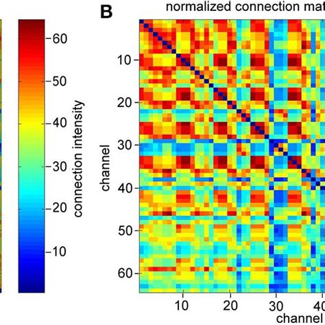 Normalized Connection Matrix Of Connectome In 8 20 Hz Band From 3 To