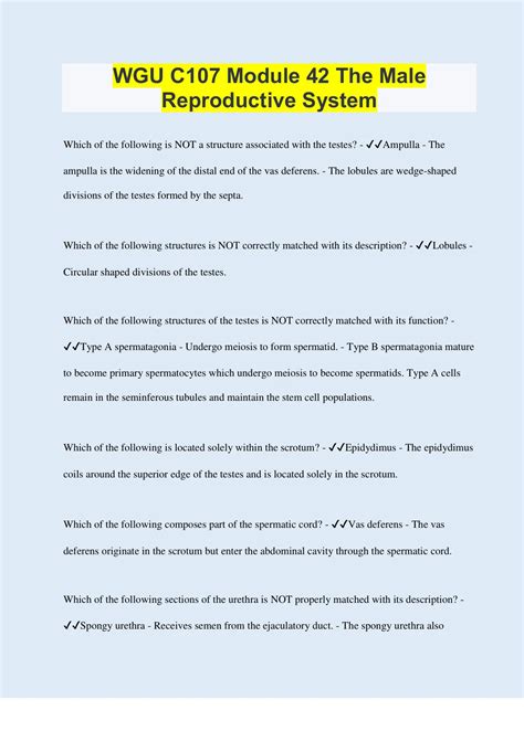 WGU C107 Module 42 The Male Reproductive System Questions With 100 Correct Answers Verified