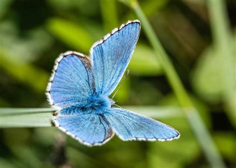 Types Of Biodiversity Explained With Examples Worldwide The Eco Shift